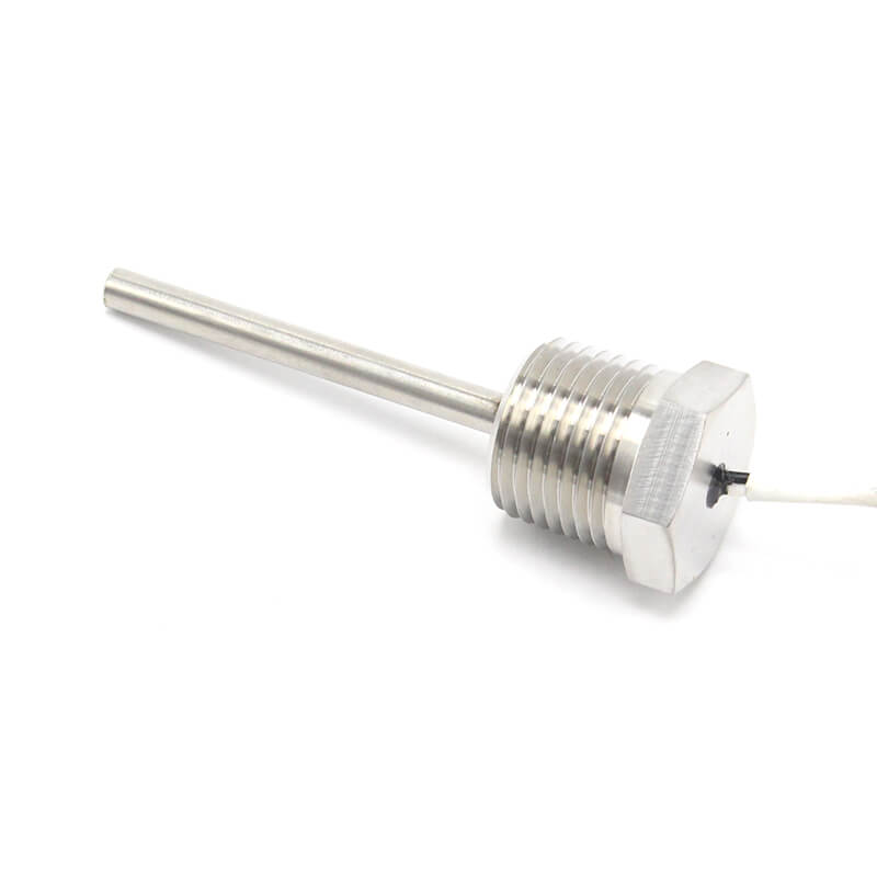 Temperature Probes