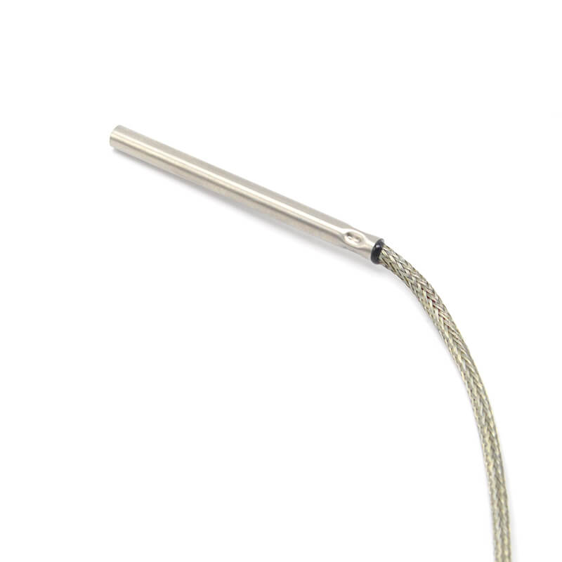 Temperature Probes